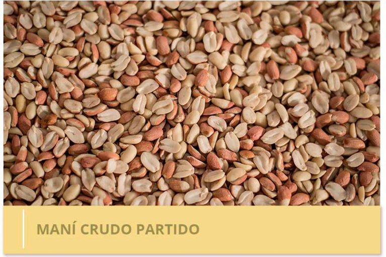 El auge silencioso del maní argentino, el más dulce del mundo