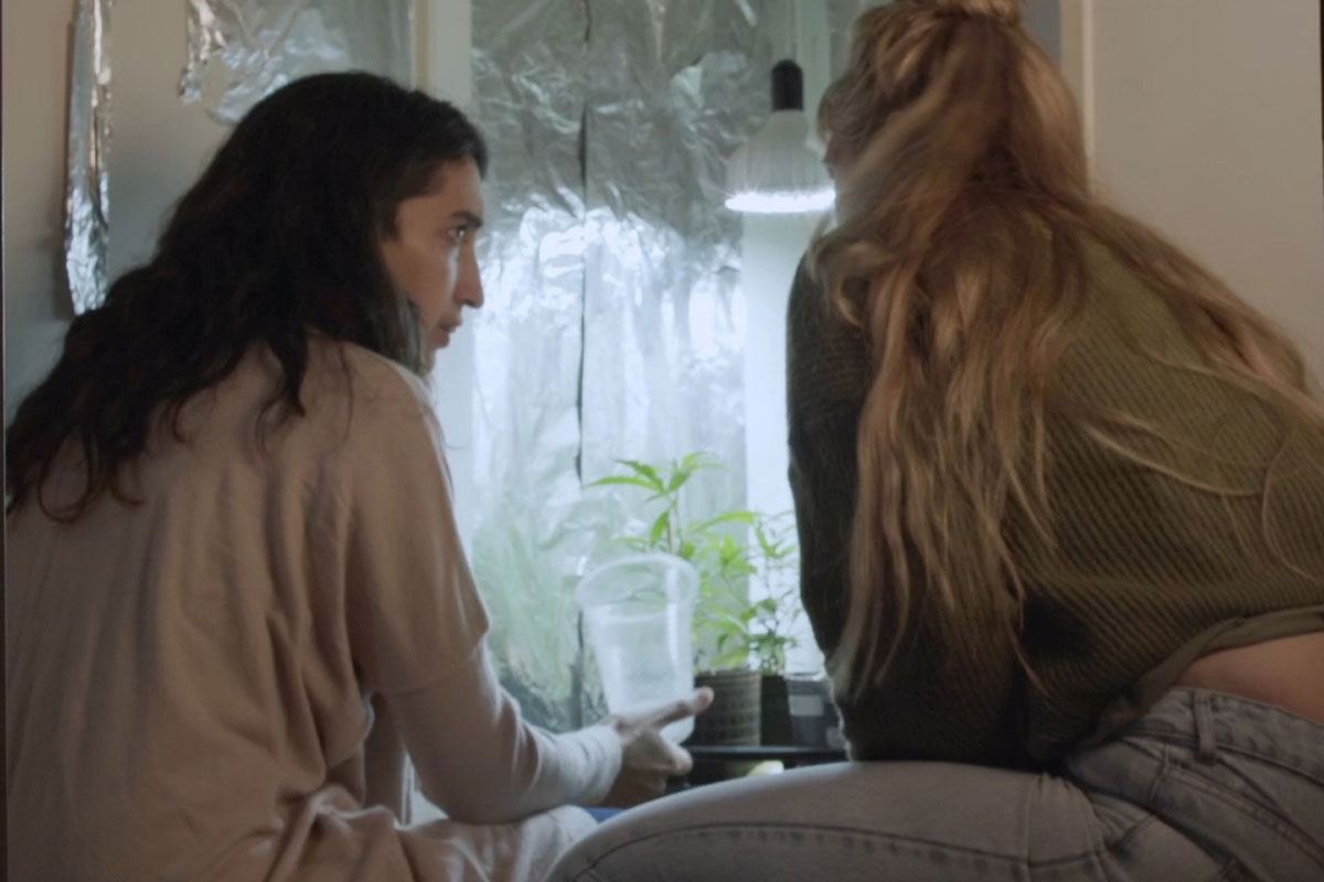 “Cannabis medicinal”, un documental argentino que reúne testimonios de ...