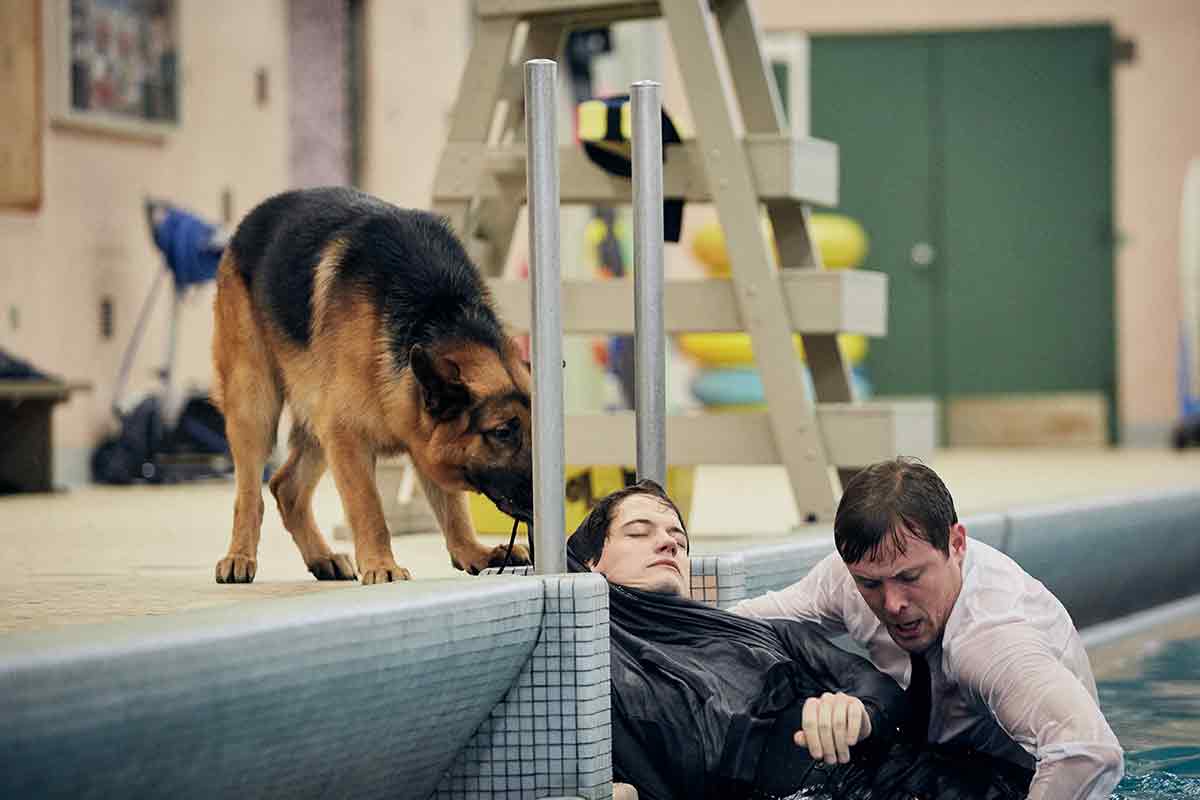 “Hudson & Rex”: un detective y un perro con mucho olfato y pocas pulgas