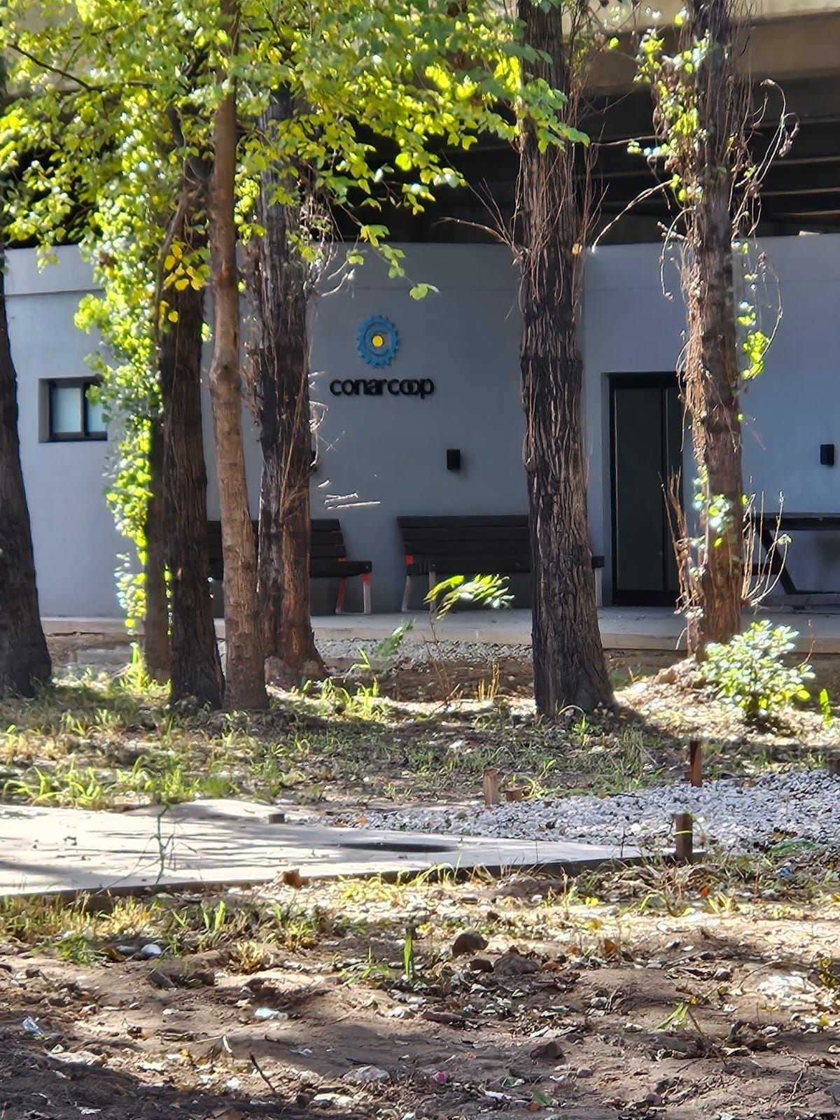 Música en vivo, experiencias colectivas y patio de comidas para festejar el Día Internacional de ...